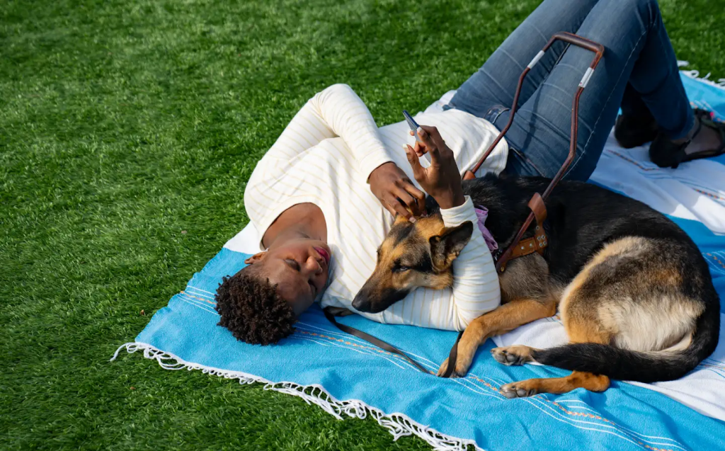 Bienestar digital Android: una guía completa